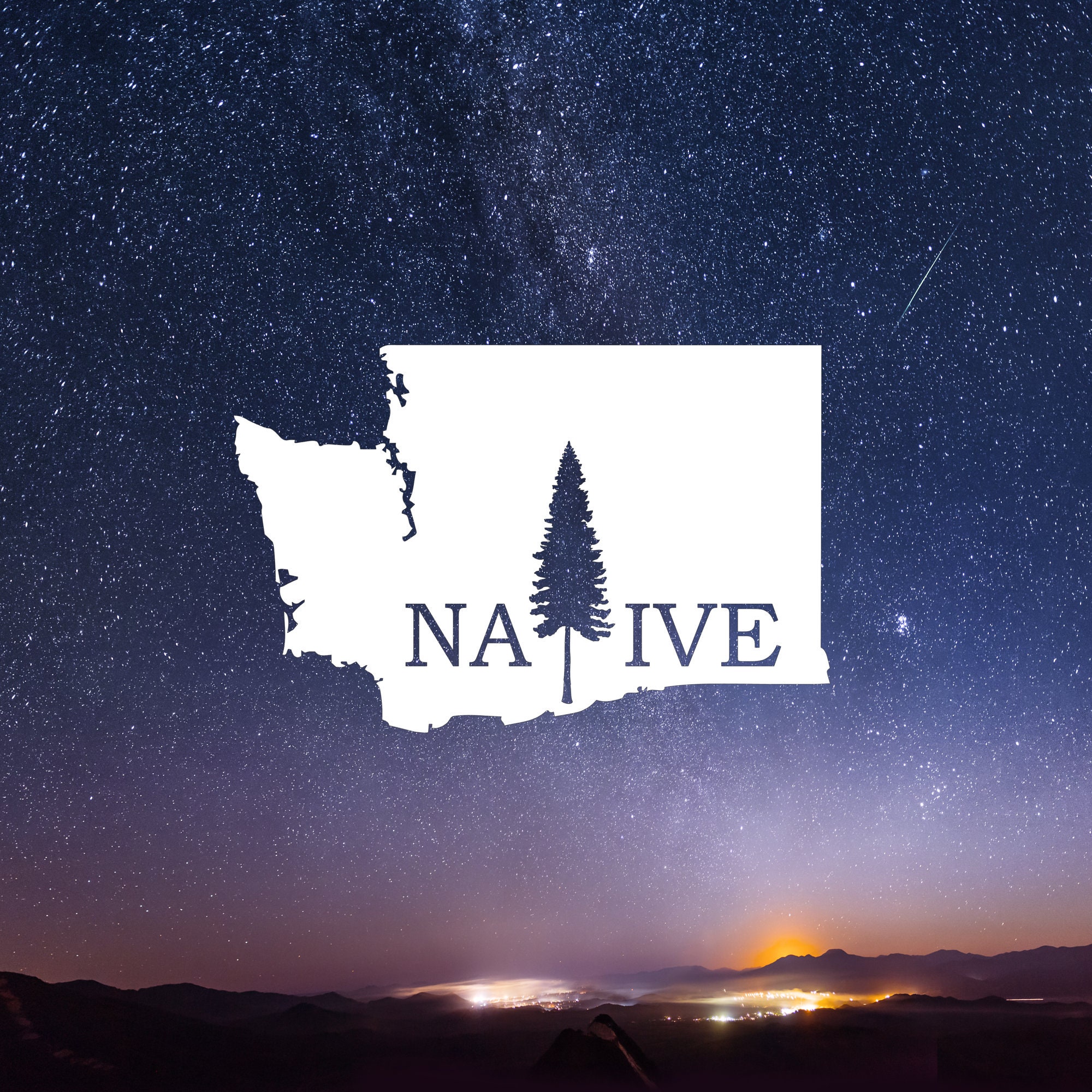 Washington Native Decal State of Washington Car Decal - Etsy