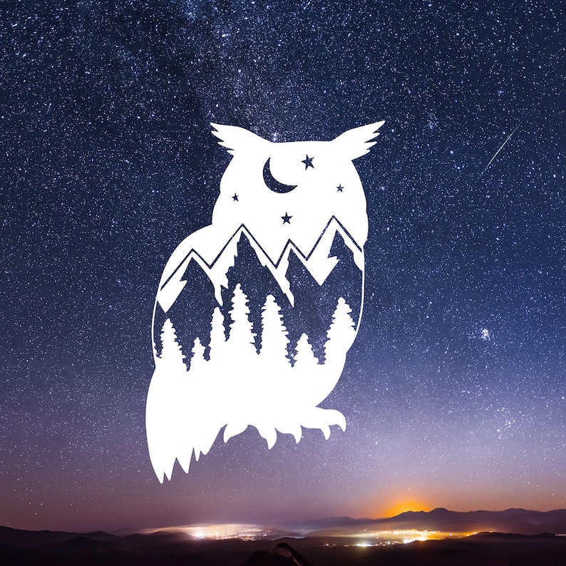 Owl Decal Owl Owl Sticker RV Decal Car Window Decal | Etsy