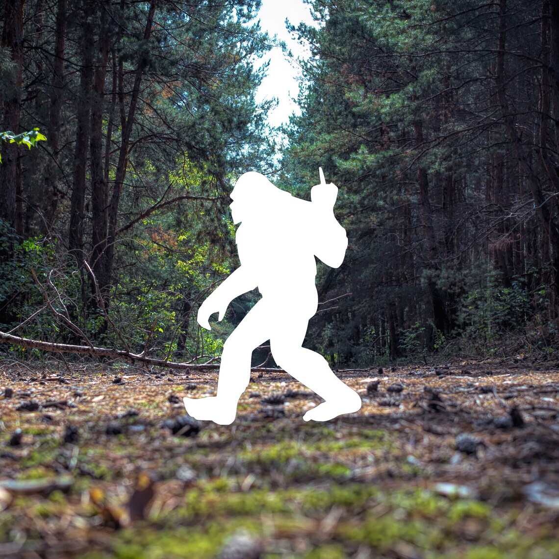 Large Bigfoot Middle Finger Decal Sasquatch Camper Decal - Etsy