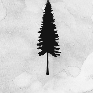 Large Tree Decal - Tree Decal RV - Single Tree Sticker - Single Tree ...