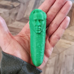 Picolas Cage Fridge Magnet - Nicolas Cage Pickle Meme Funny Home Decor ...