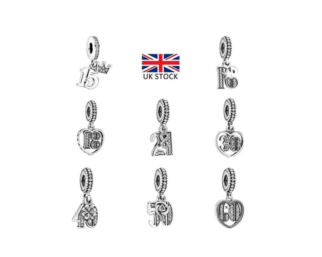 925 Sterling Silver Birthday Celebration Pendant Dangle Charms for ...