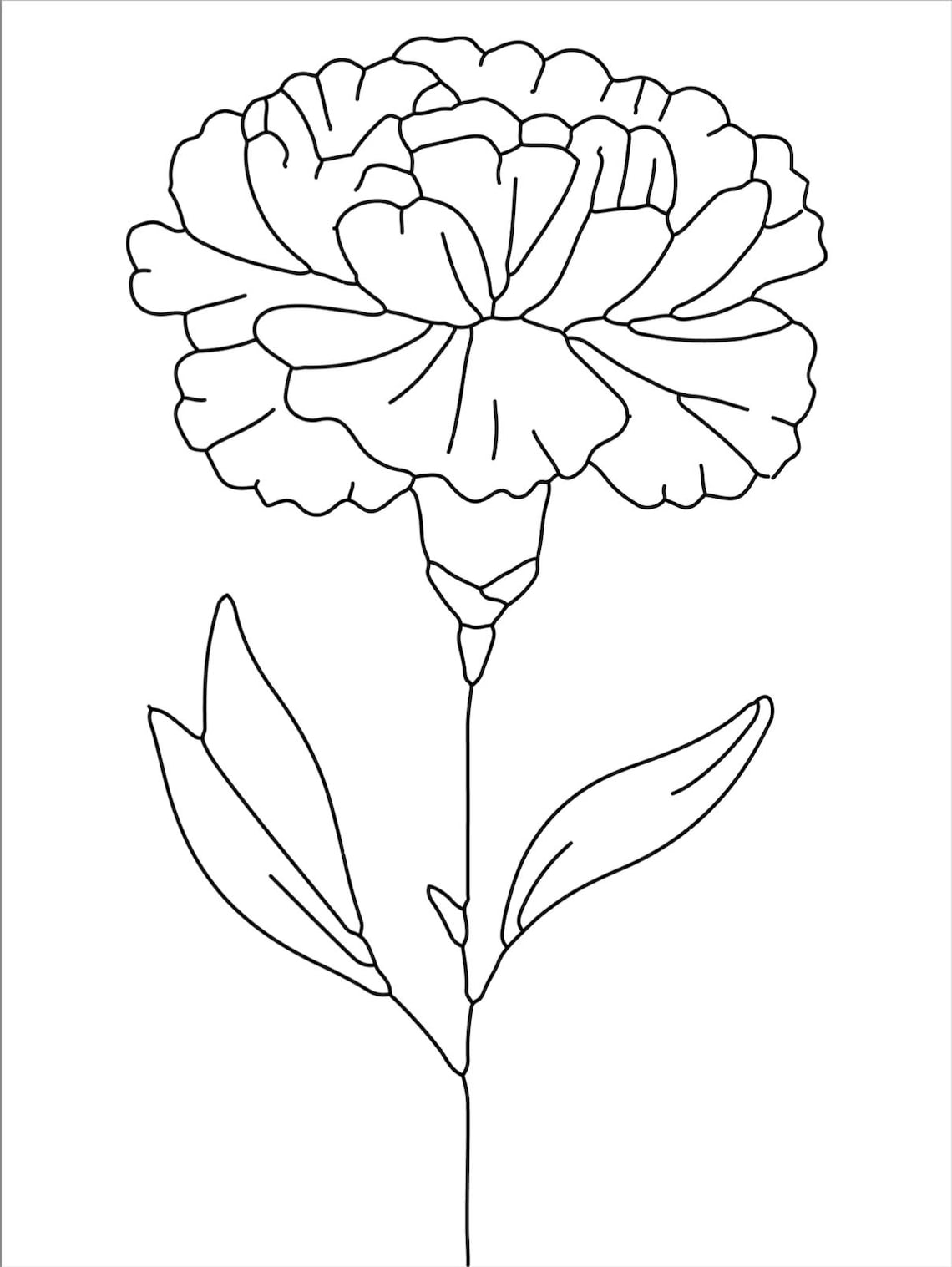 Birth Flower Coloring Book | Monthly Birth Flowers Digital Download ...
