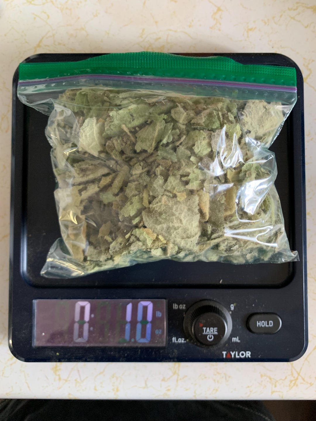 Mullein Leaf Tea- Verbascum Thapsus- Respiratory Health Tea ...