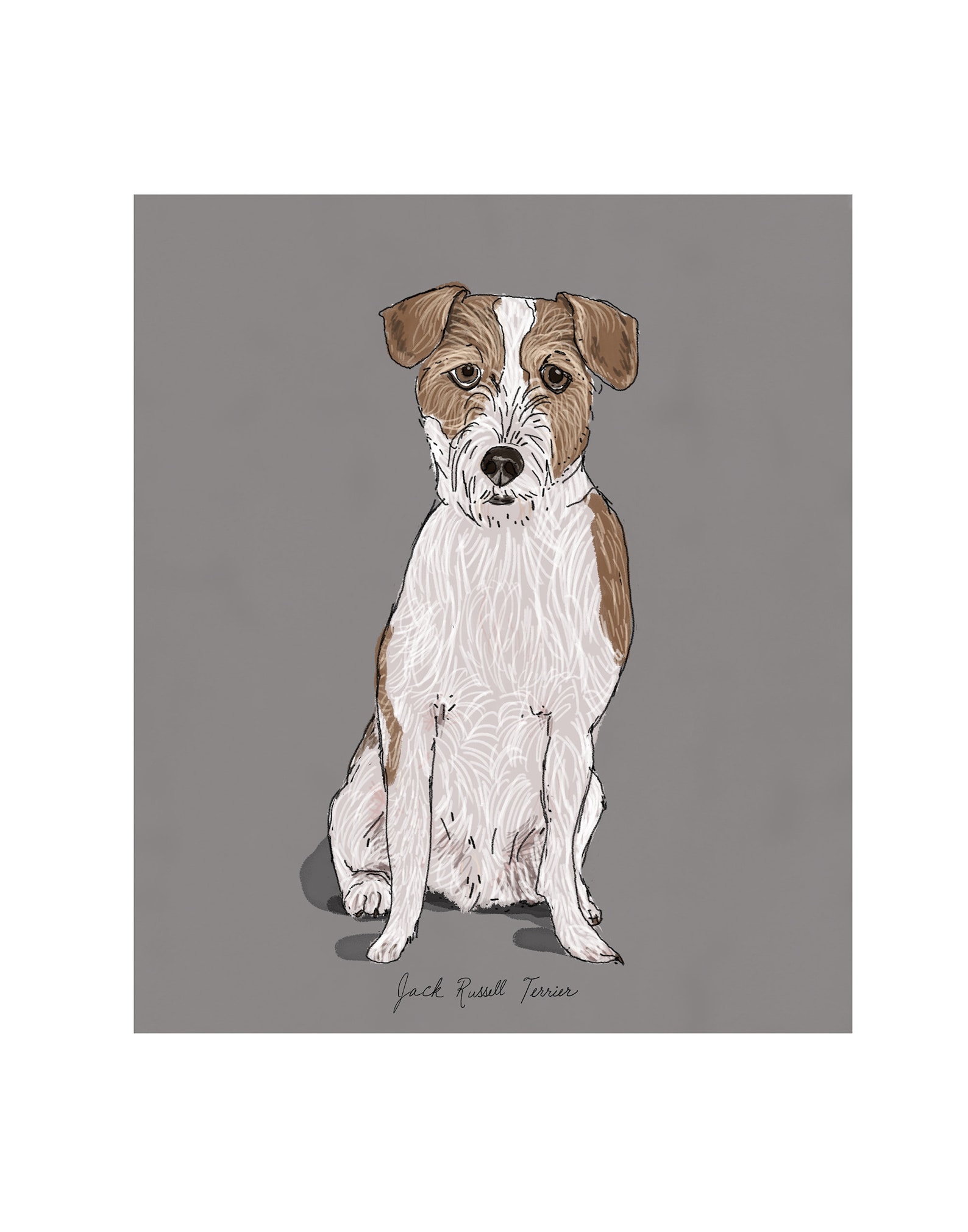 Jack Russell Terrier Art Print: Archival Paper, Matted 11x14 - Etsy