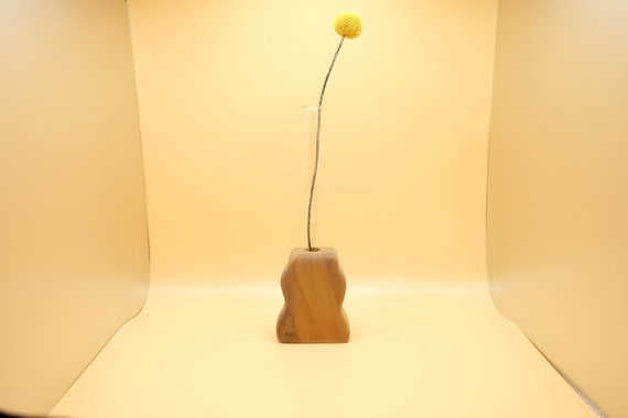 Single Stem Flower Vase Propagation Station Hydroponic Vase - Etsy