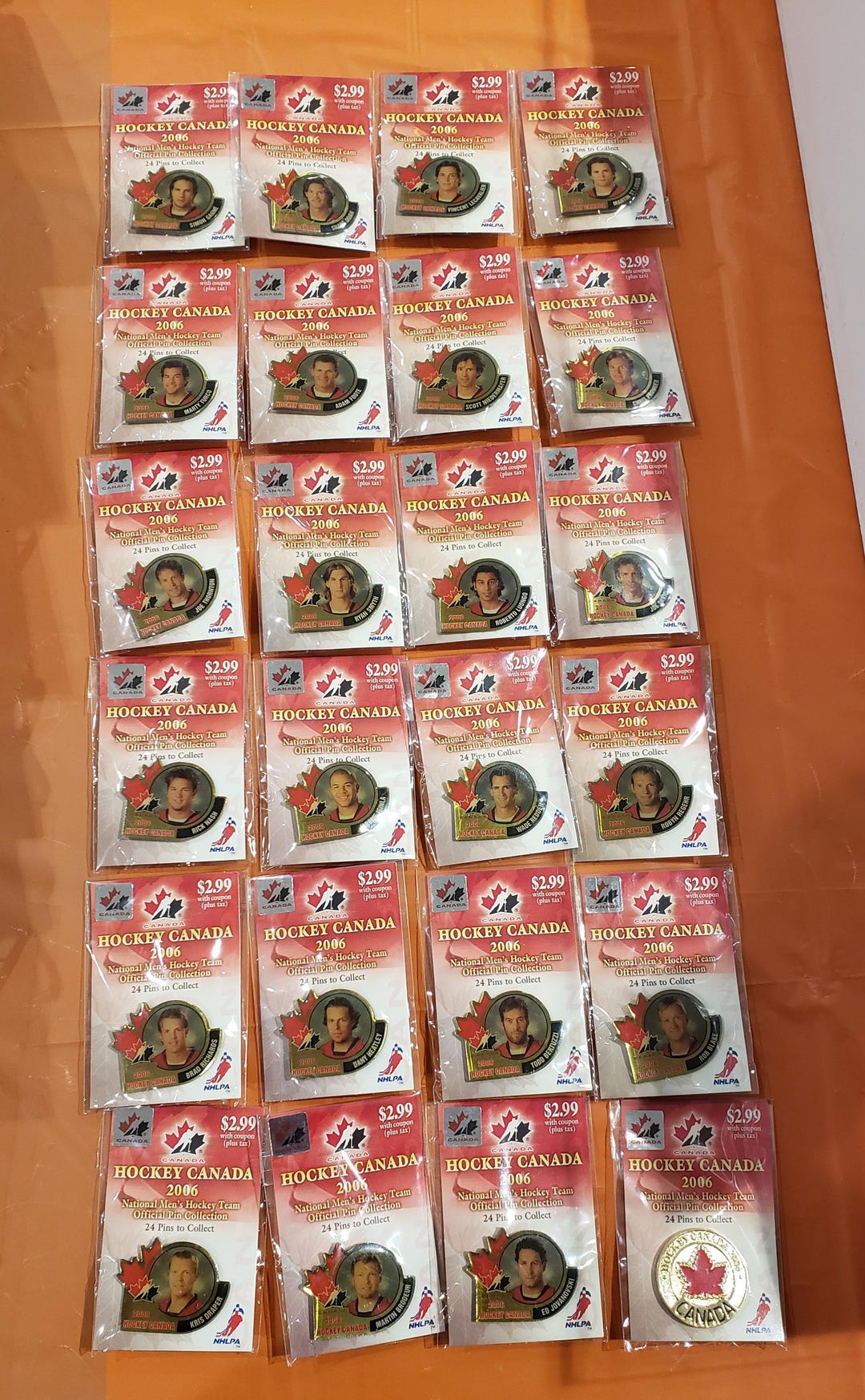 TEAM CANADA National Hockey, Hockey Collector Pin Set, Set of 24 ...