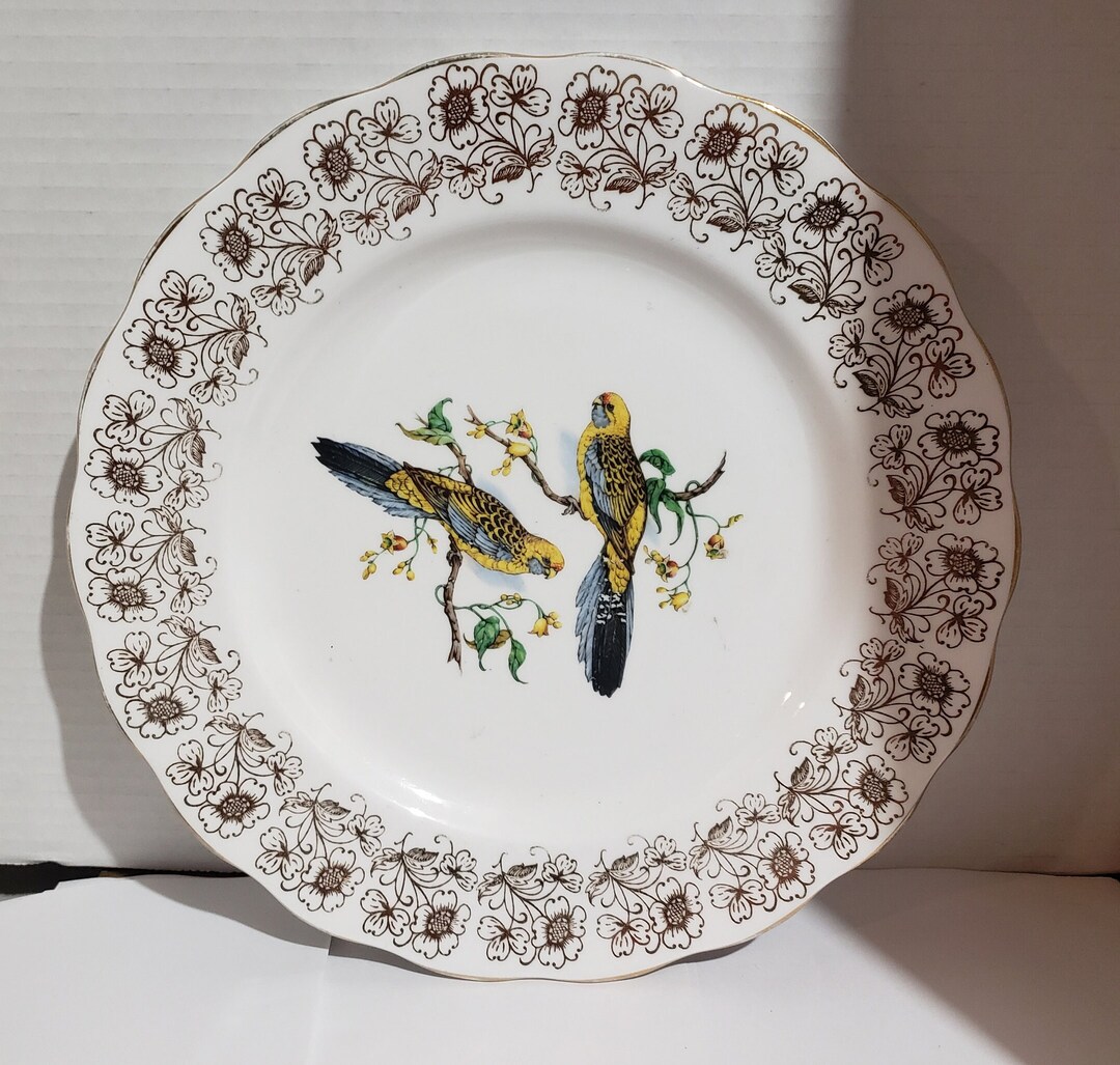 Adderley Budgie Bird Motif Plate Gold Floral Gilt Edge, Fine Bone China ...