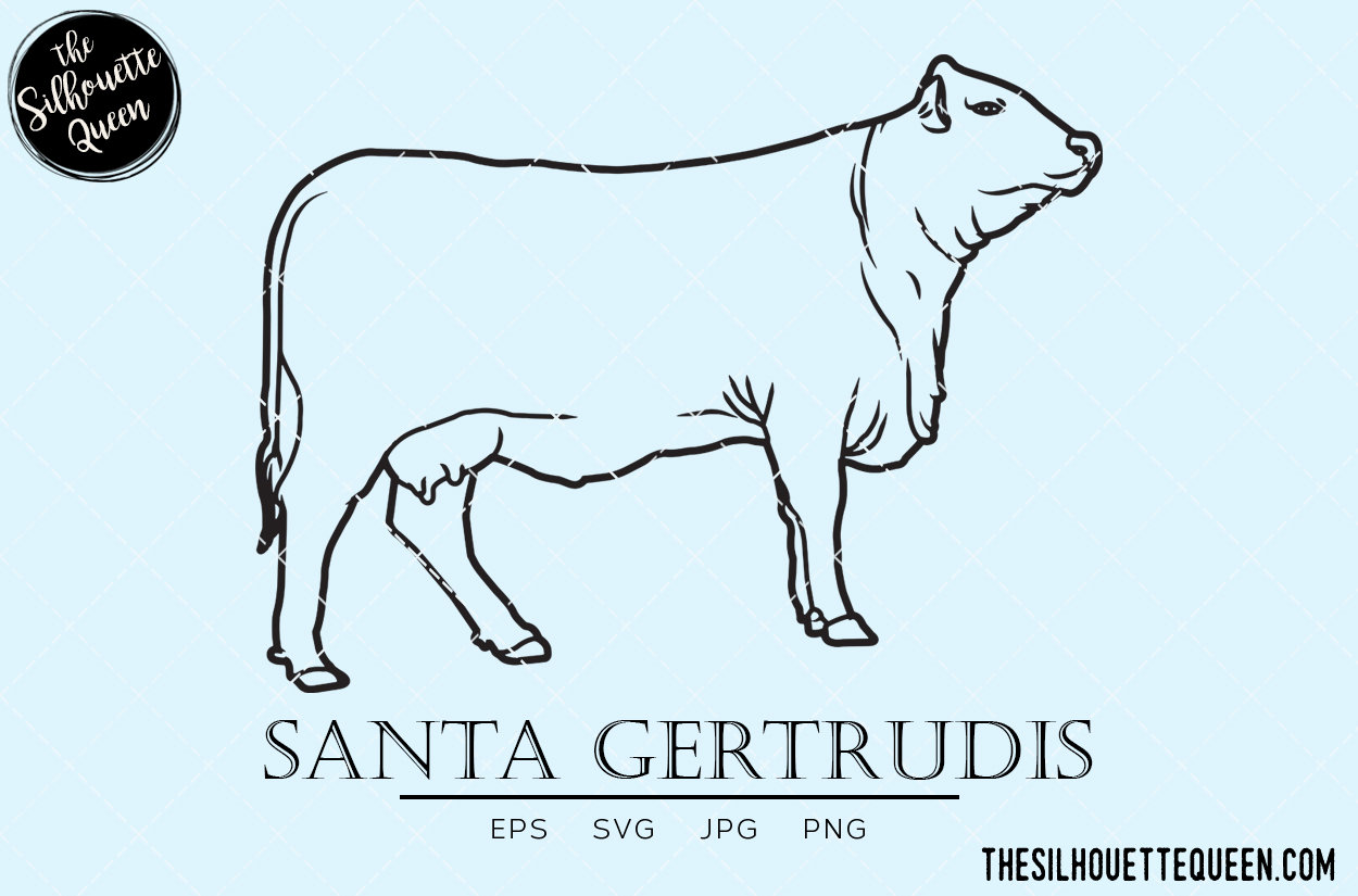 Santa Gertrudis Cattle