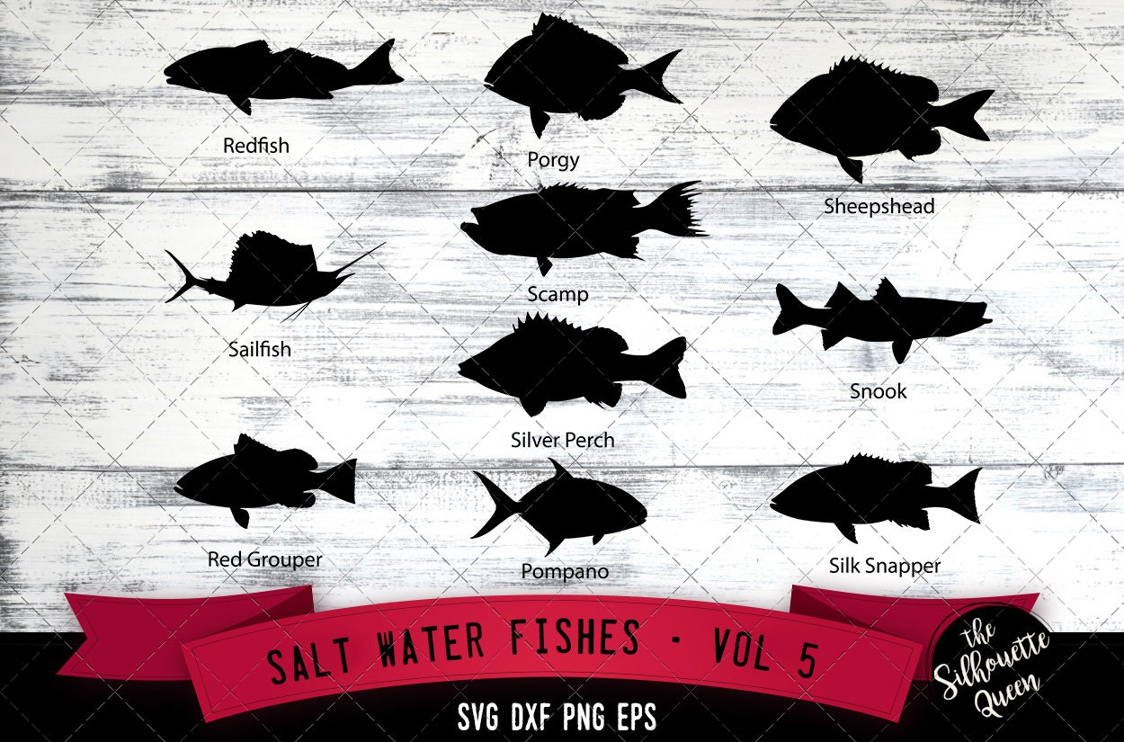Salt Water Fishes Svg V5 - Redfish, Sailfish,red Grouper, Porgy, Scamp ...