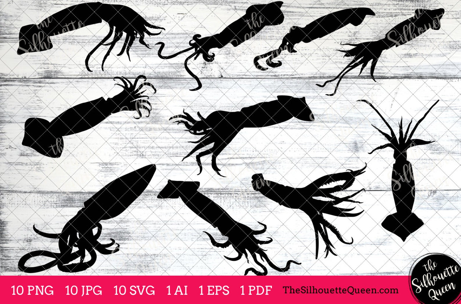 Squid Svg Squid Monogram Squid Svg File Squid Cuttable | Etsy