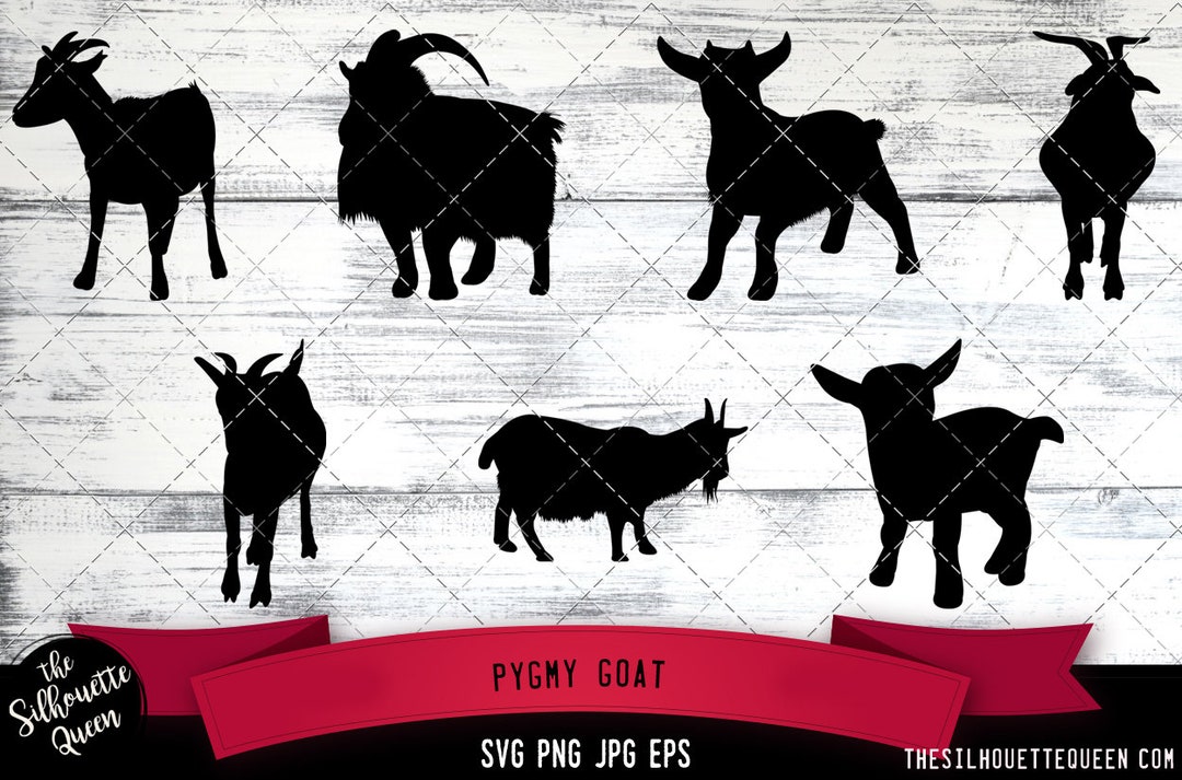 Pygmy Goat SVG, Silhouette, Logo, Pygmy Goat SVG Cut Files for Cricut ...