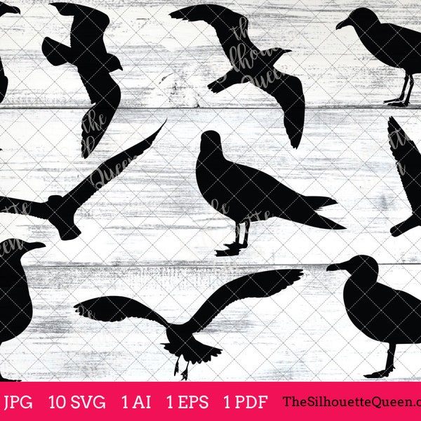 Sea Gull Svg Svg - Etsy