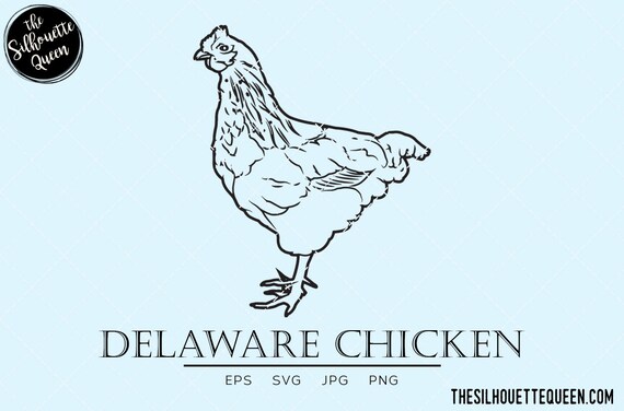 Delaware chicken svg poultry svg farm ranch svg agriculture | Etsy