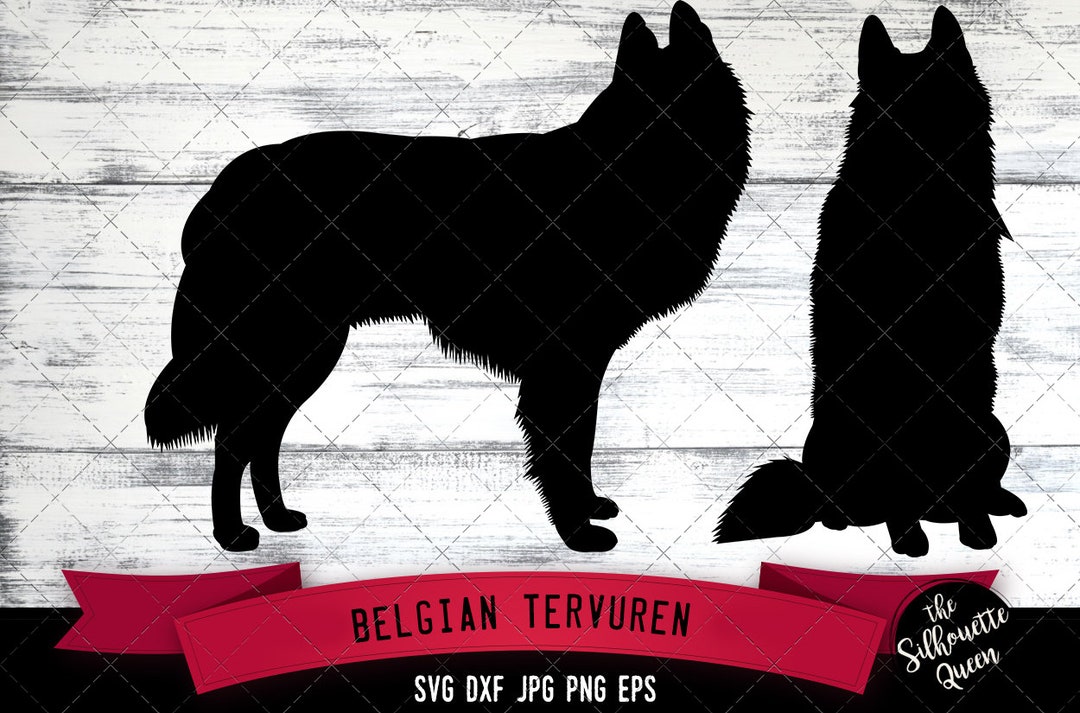 Belgian Tervuren SVG Files, Dog Svg, Silhouette File, Cricut File, Cut ...