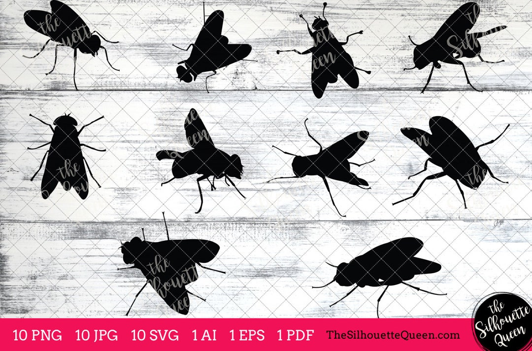 Fly Insect Svg, Fly Bug Monogram, Fly Svg File, Fly Cuttable, Bundle ...