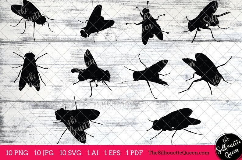 Fly Insect Svg, Fly Bug Monogram, Fly Svg File, Fly Cuttable, Bundle ...