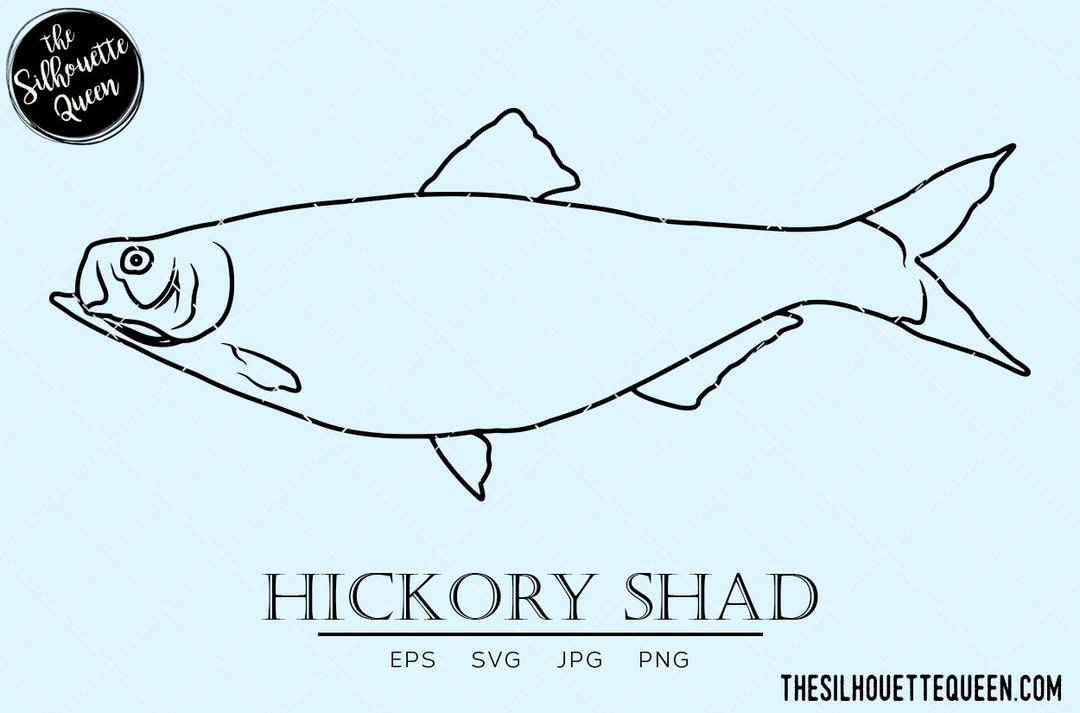 Hickory Shad Svg, Fresh Water Fish, Marine Svg, Aquatic Svg, Fish Face ...
