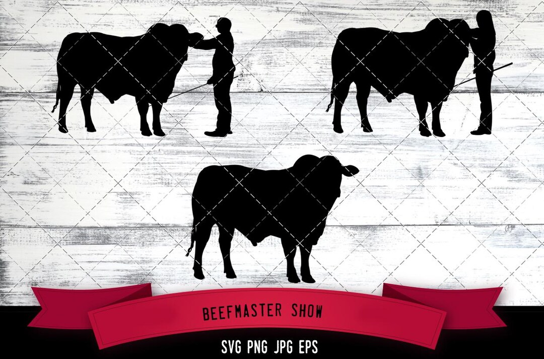 Beefmaster Cow Show SVG File,livestock Judging Svg, Farm Girl Boy Svg ...