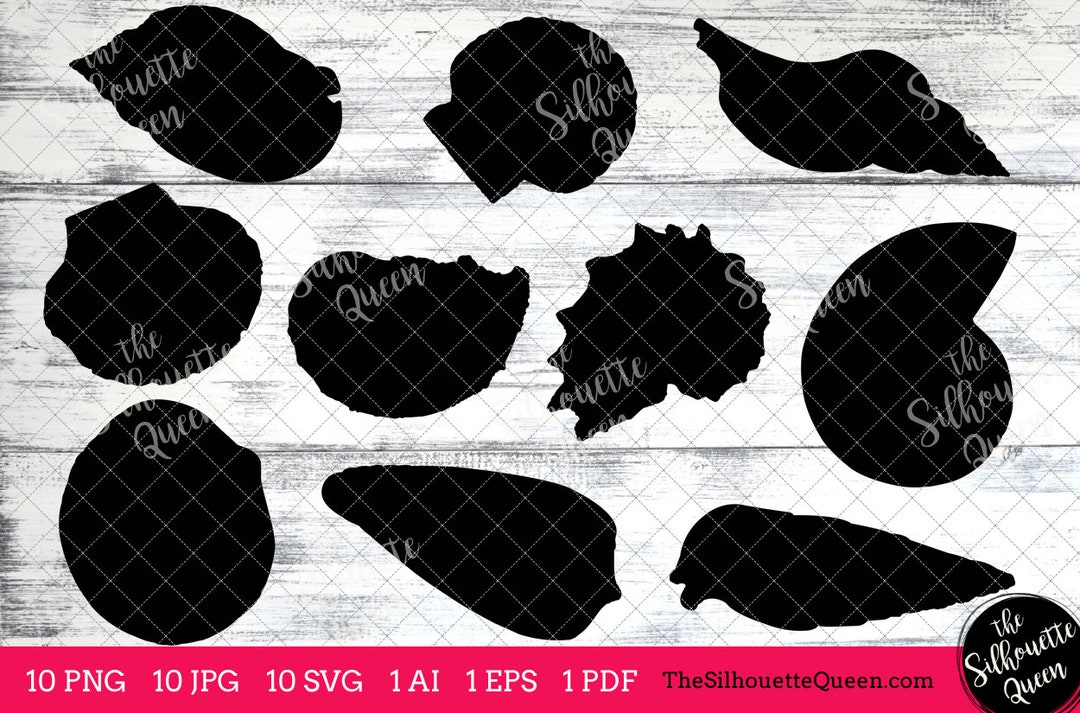 Mollusk Svg, Sea Shell Monogram, Shell Svg File, Beach Cuttable ...