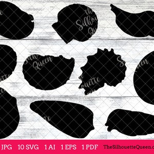 Mollusk Svg, Sea Shell Monogram, Shell Svg File, Beach Cuttable ...