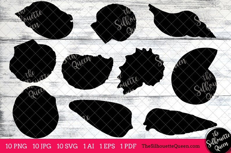 Mollusk svg Sea Shell monogram Shell svg file Beach | Etsy