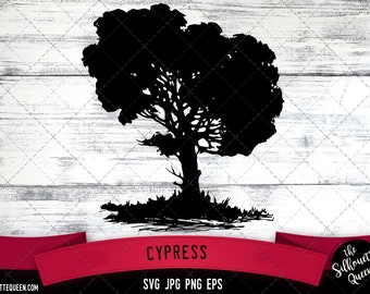 Cypress Tree Swamp Graphic Vector and PNG Instant (Instant Download) - Etsy