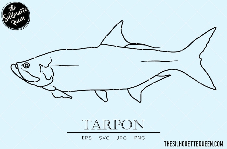 Tarpon Svg Salt Water Fish Svg Marine Svg Aquatic Svg Fish - Etsy