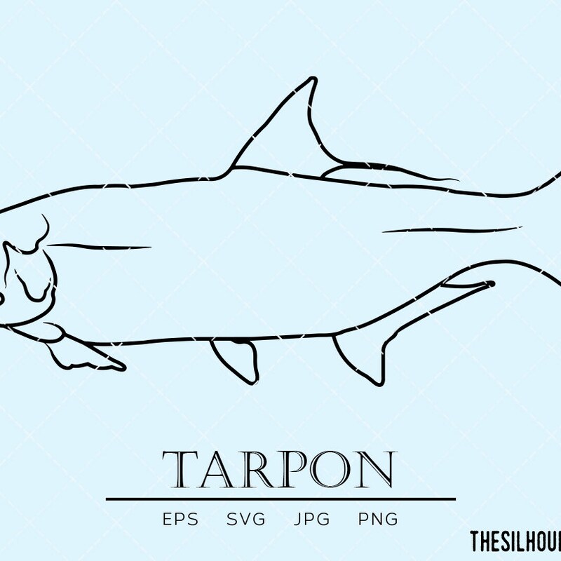 Tarpon Fish - Etsy