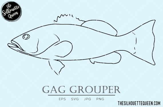 Gag Grouper Svg Salt Water Fish Svg Marine Svg Aquatic Svg - Etsy