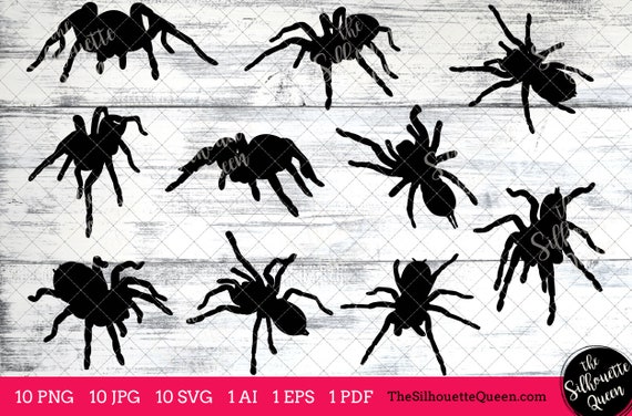 Tarantula Svg Tarantula Monogram Tarantula Svg File - Etsy