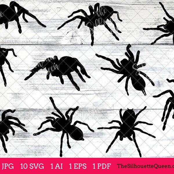 Tarantula Svg - Etsy