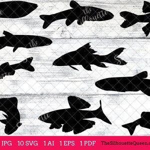 Fishing SVG , Minnow Fish SVG, Minnow Fish Cut File for Cricut Design ...