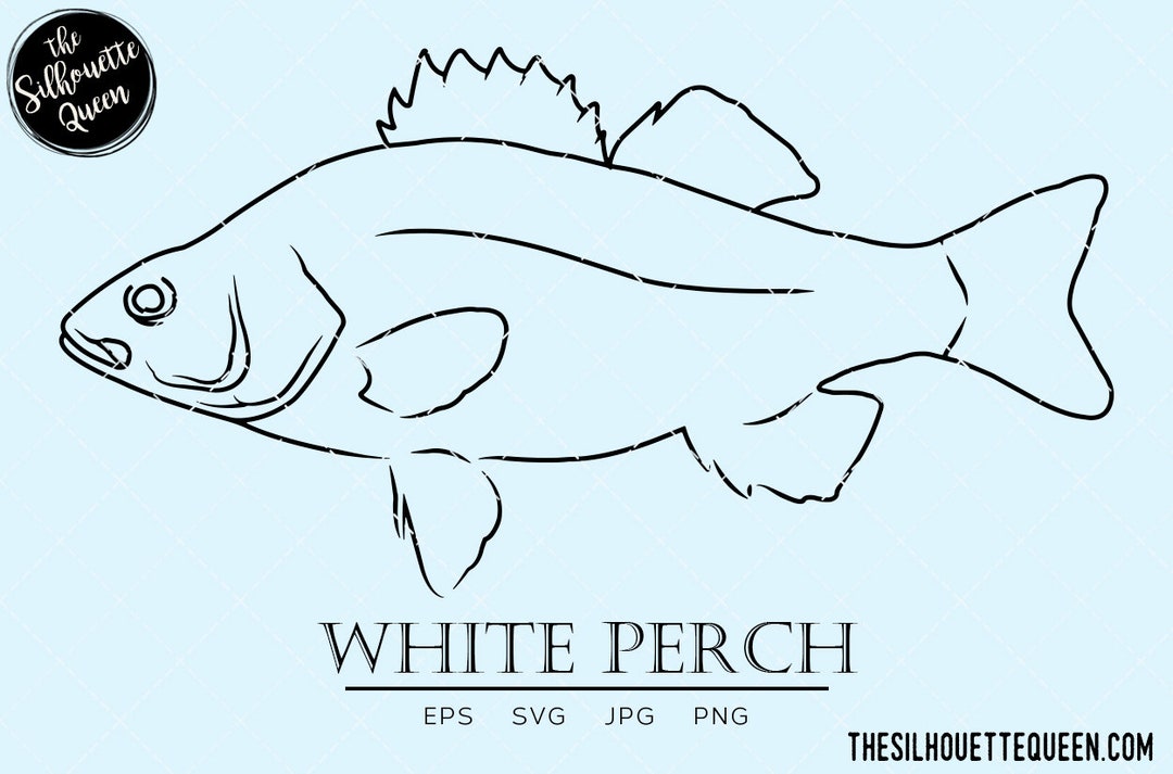 White Perch, Fresh Water Fish, Marine Svg, Aquatic Svg, Fish Face Svg ...