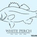 Cobia Svg, Salt Water Fish Svg, Marine Svg, Aquatic Svg, Fish Face Svg ...