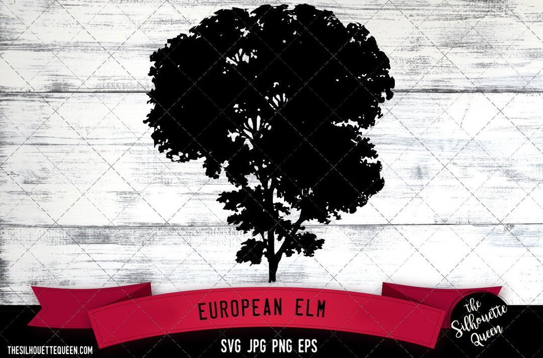 European Elm SVG vector Art Commercial & Personal Use Cricut,silhouette ...