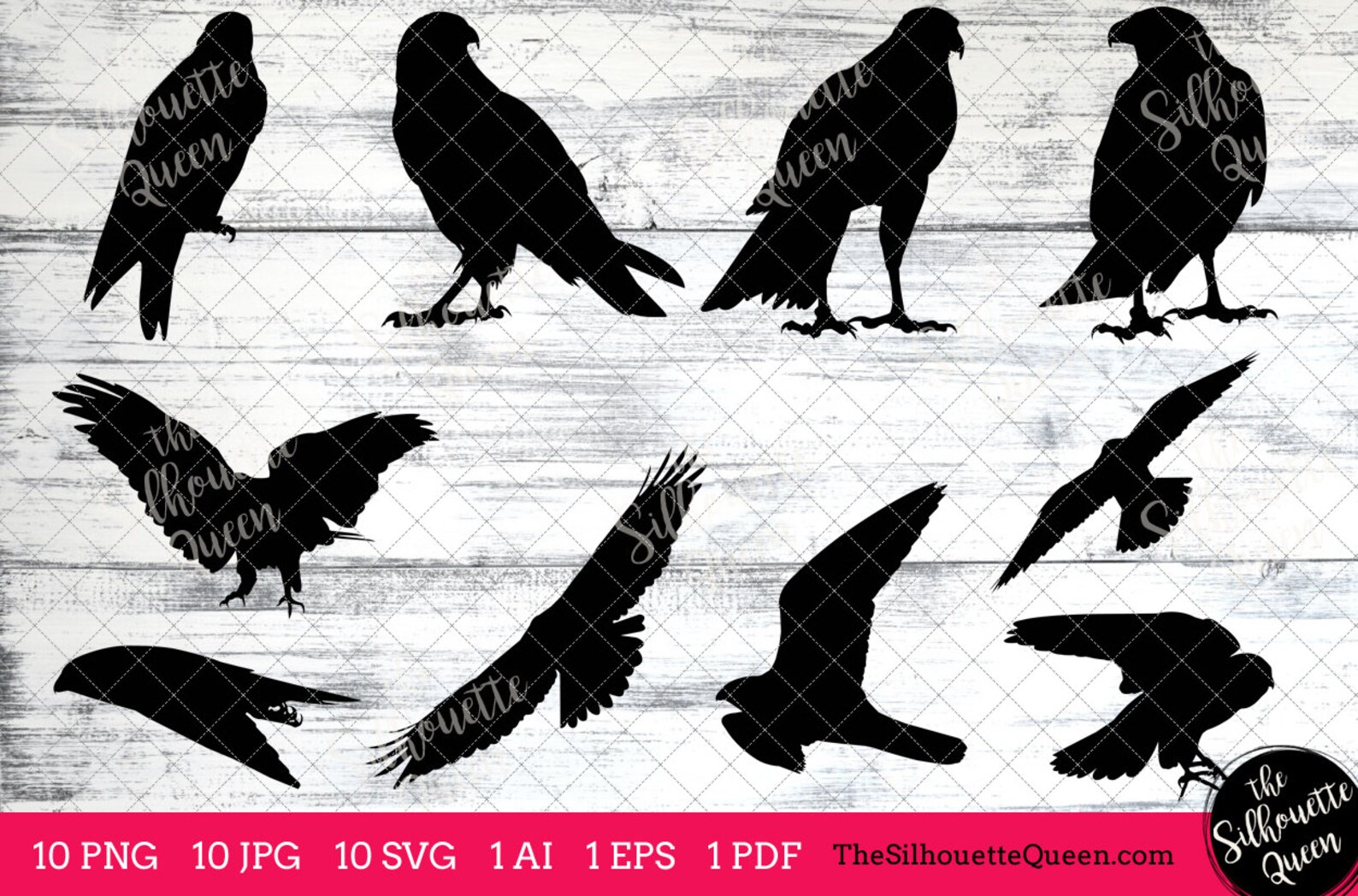 Falcon Bird SVG Files Bundle Flying Bird SVG Sitting Bird - Etsy