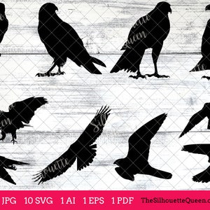 Falcon Bird SVG Files Bundle, Flying Bird SVG, Sitting Bird SVG ...