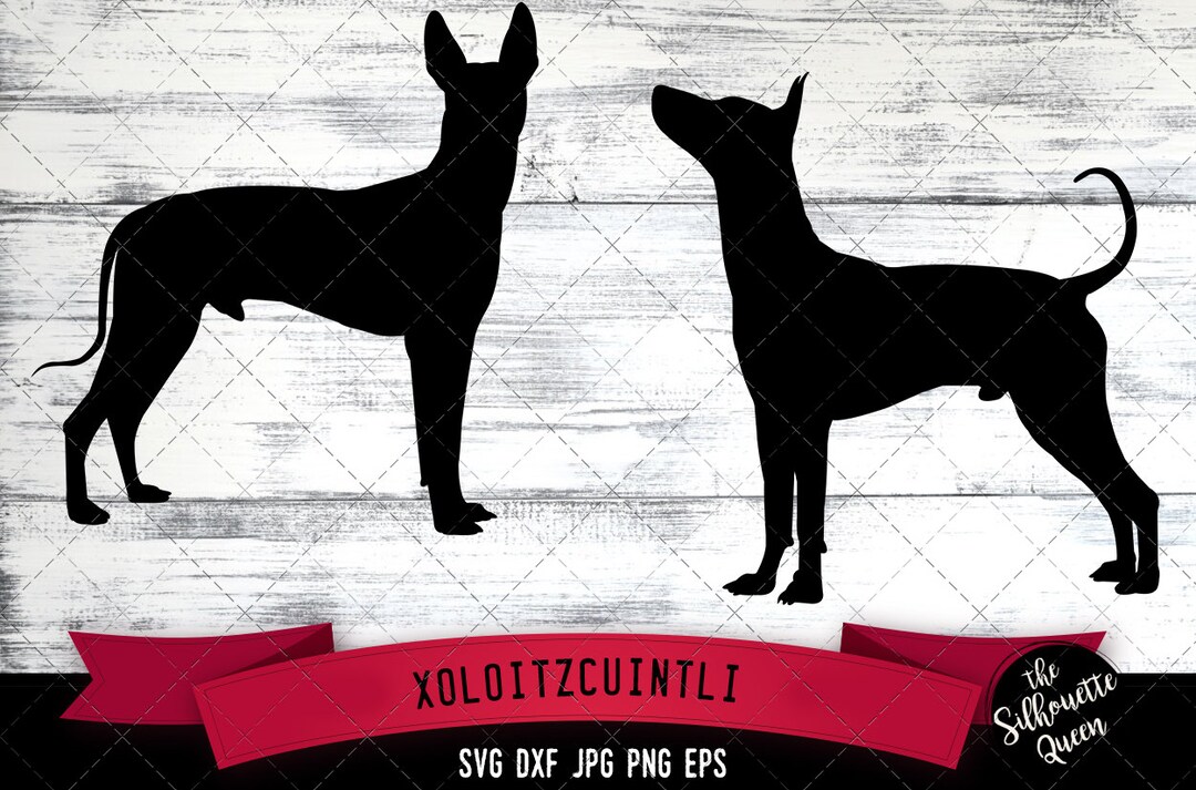 Xoloitzcuintli SVG Files, Dog Svg, Silhouette File, Cricut File, Cut ...