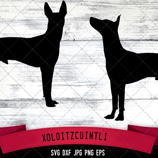 Xoloitzcuintli Svg - Etsy