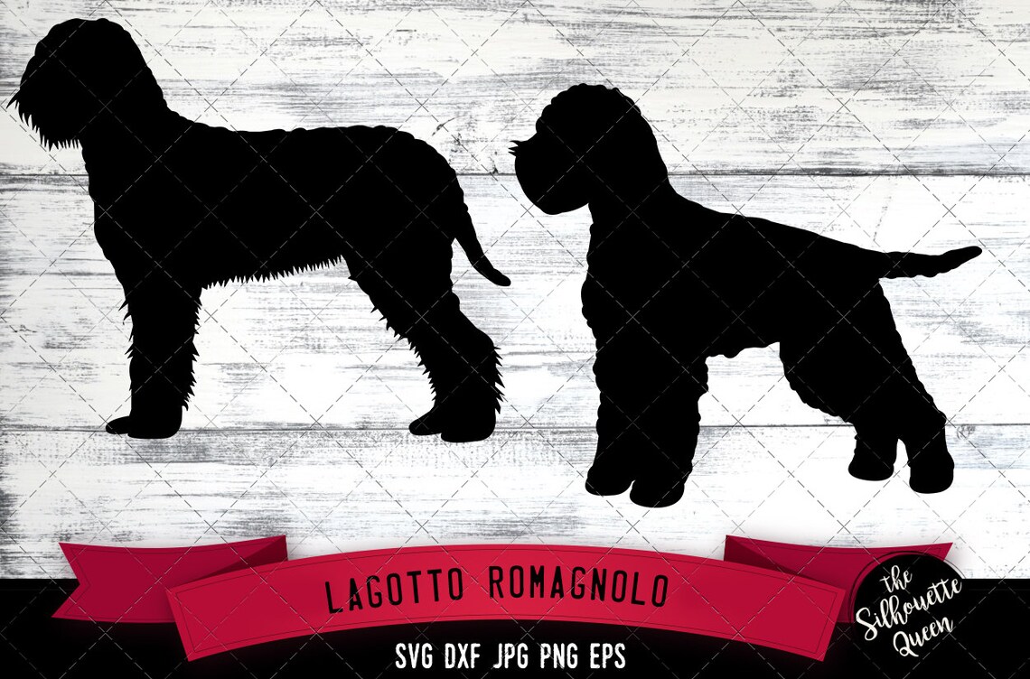 Lagotto Romagnolo SVG Files, Dog Svg, Silhouette File, Cricut File, Cut ...