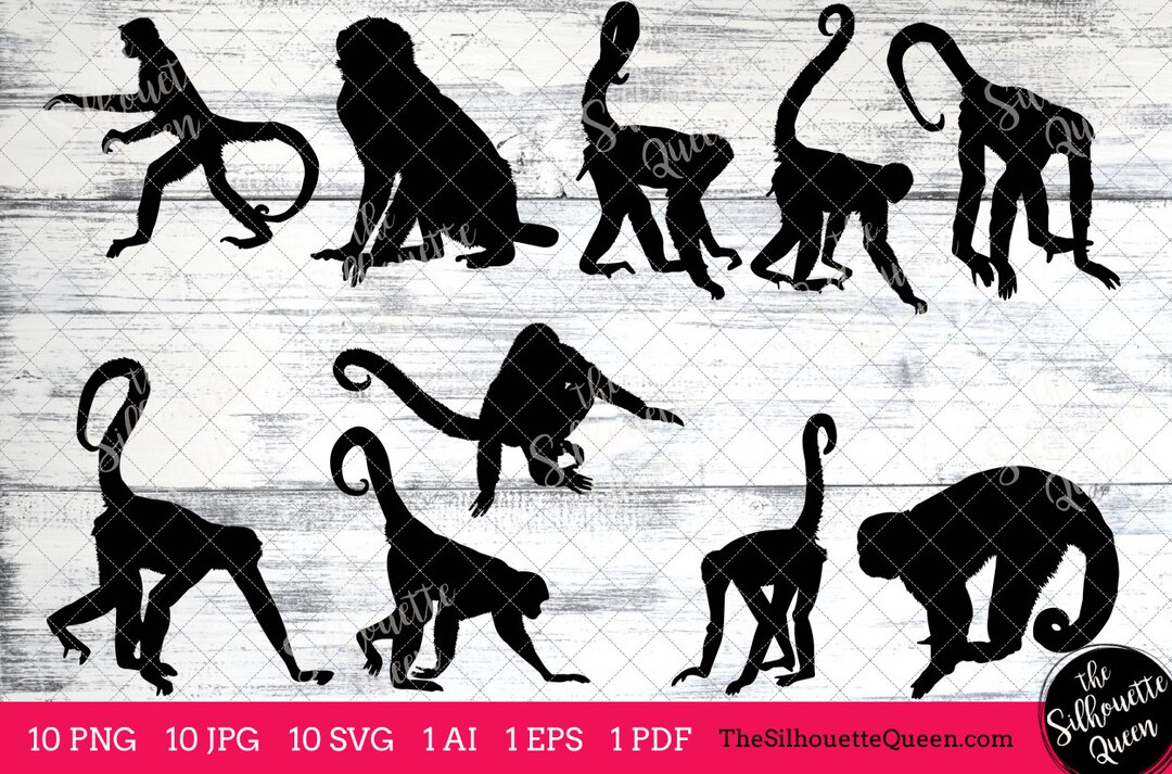 Spider Monkey Svg, Monkey Monogram, Monkey Svg File,cuttable, Monkey ...