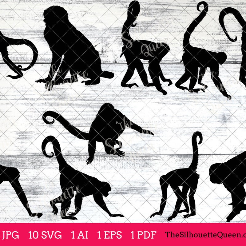 Monkey Svg - Etsy