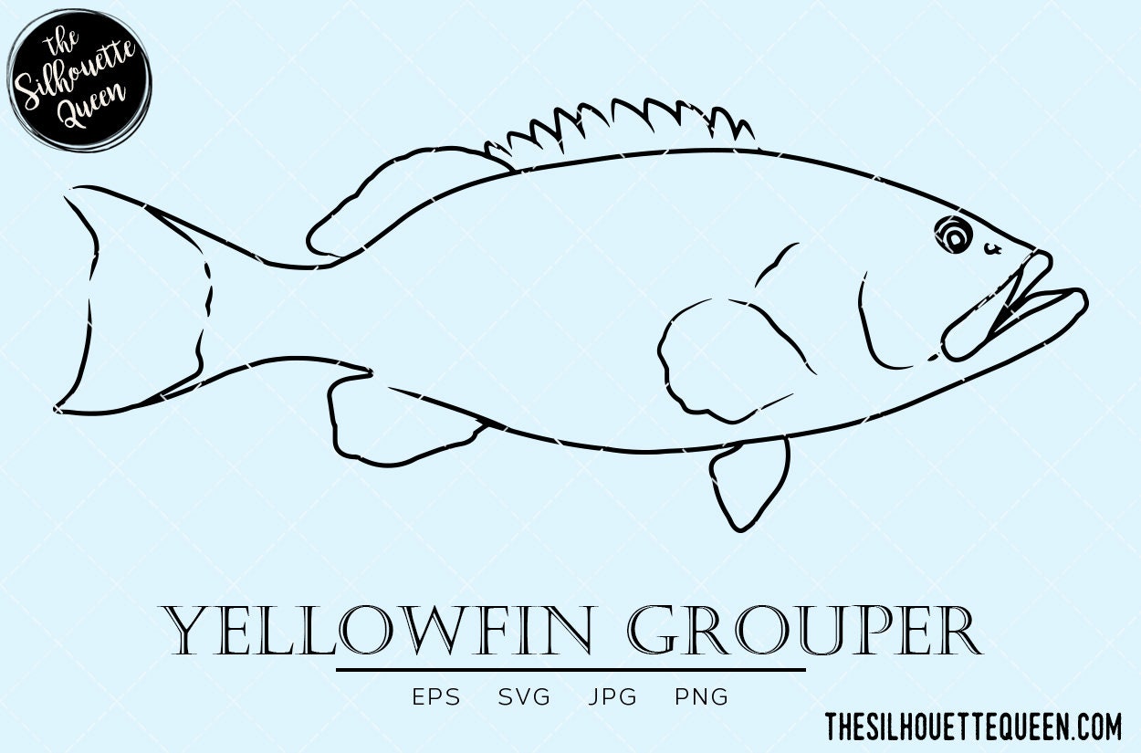 Yellowfin Grouper