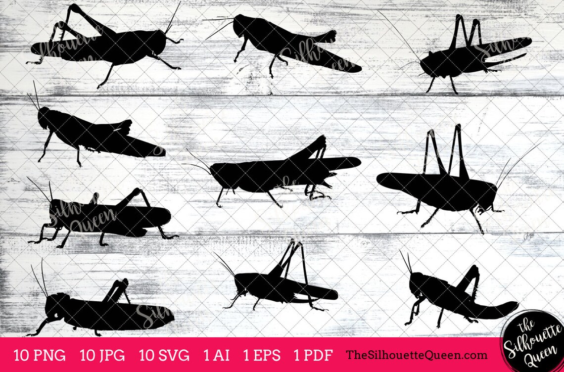 Locust Insect Svg, Locust Bug Monogram, Locust Svg File, Locust ...