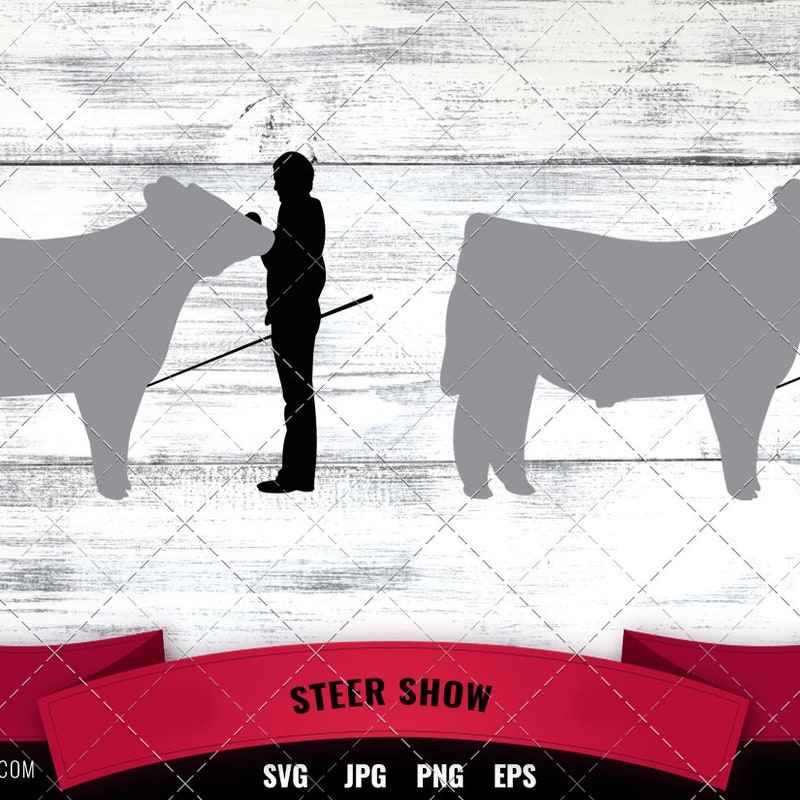 Show Steer Clip Art - Etsy
