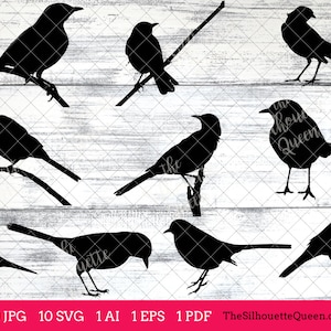 Mocking Bird SVG Files Bundle, Flying Bird SVG, Sitting Bird SVG ...