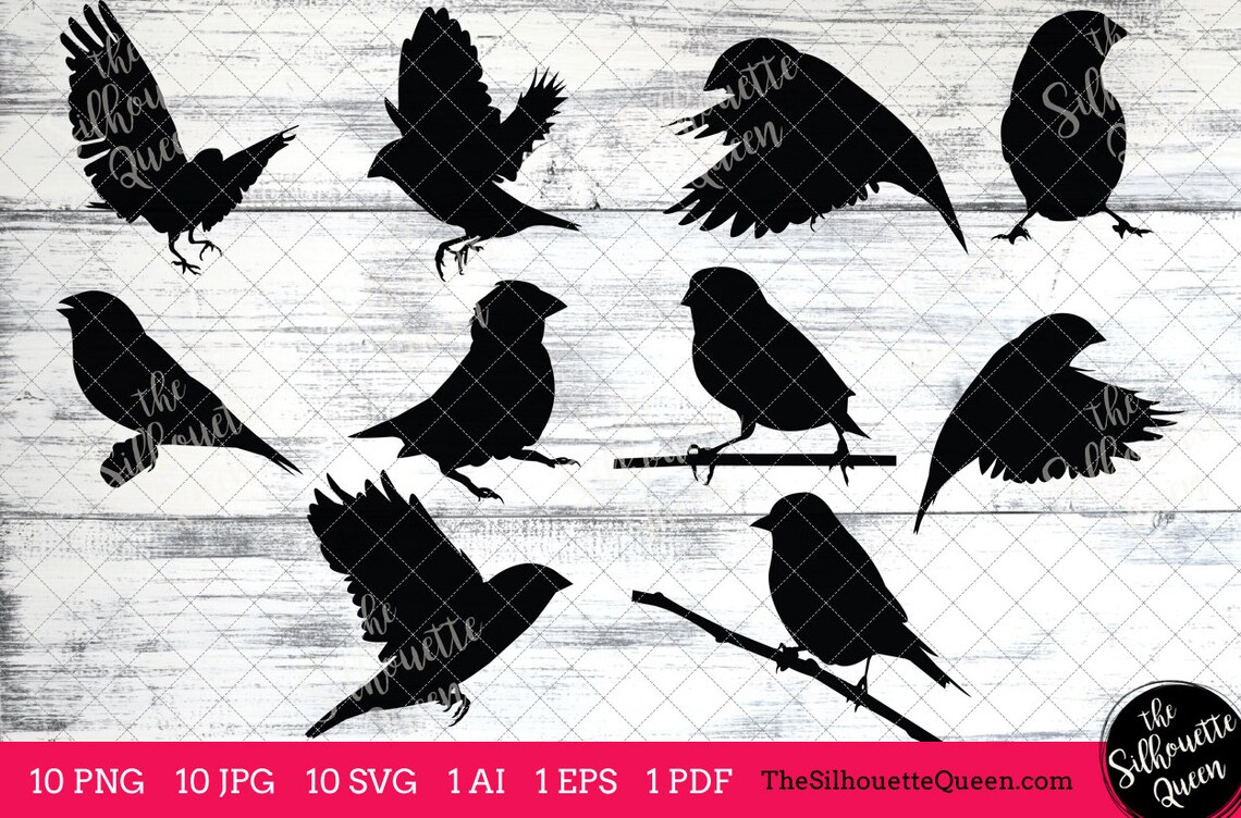 Finch Bird SVG Files Bundle, Flying Bird SVG, Sitting Bird SVG ...