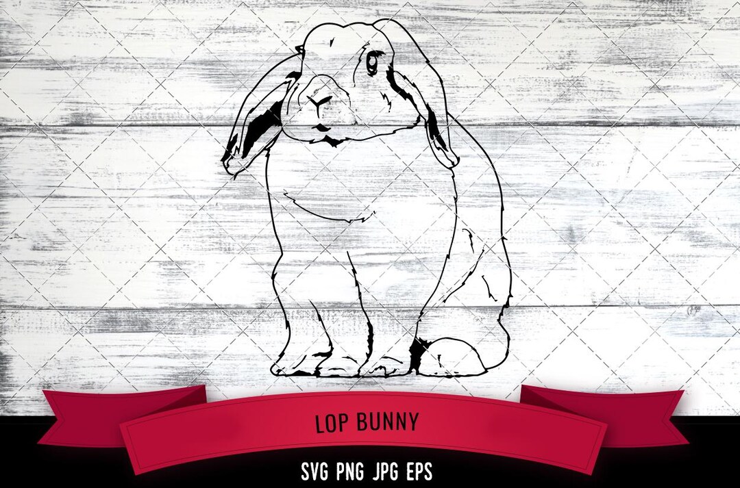 Lop Bunny SVG File, Bunny Face Svg,farm Svg -vector Art Commercial ...
