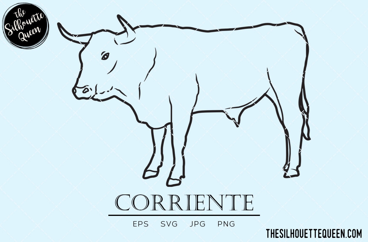Corriente Cross Cattle